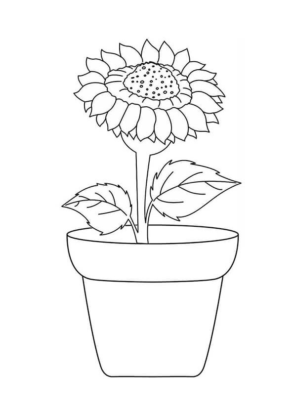 Coloring Pages Printable Simple Flower Coloring Pages For Preschooler