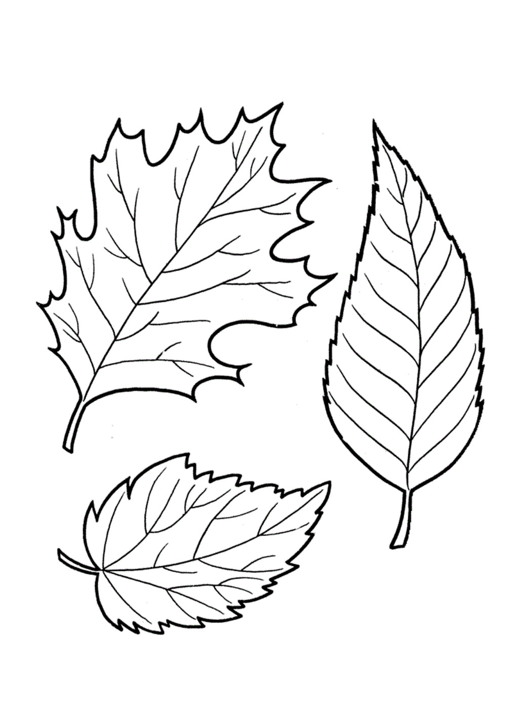 Coloring Pages Printable Free Leaf Coloring Pages For Kids