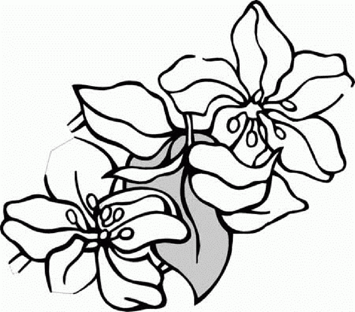 Coloring Pages Jasmine Color Pages For Adults