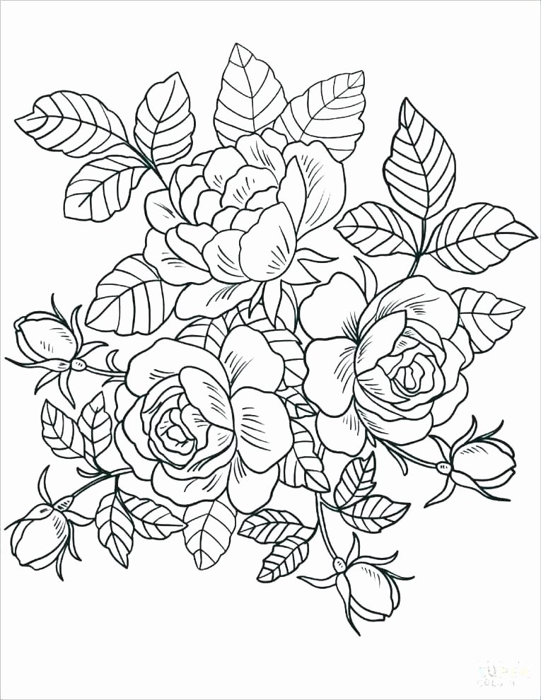 Coloring Pages Spring Flowers Coloring Sheets Luxury Spring Flower Coloring Pages Spring Flowers Coloring Sheets Luxury Spring Flower
