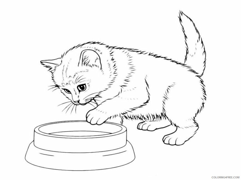 Coloring Pages Cute Cat Coloring Pages