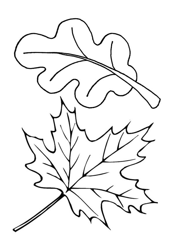 Coloring Pages Free Printable Leaf Coloring Page Coloring Pages Free Printable Leaf Coloring Page