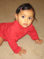 November Wk 1b 2008 Baby Faces